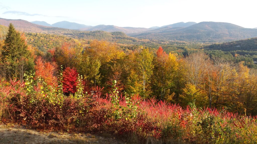 Fall Foliage in the White Mountains, NH | Bretton Woods