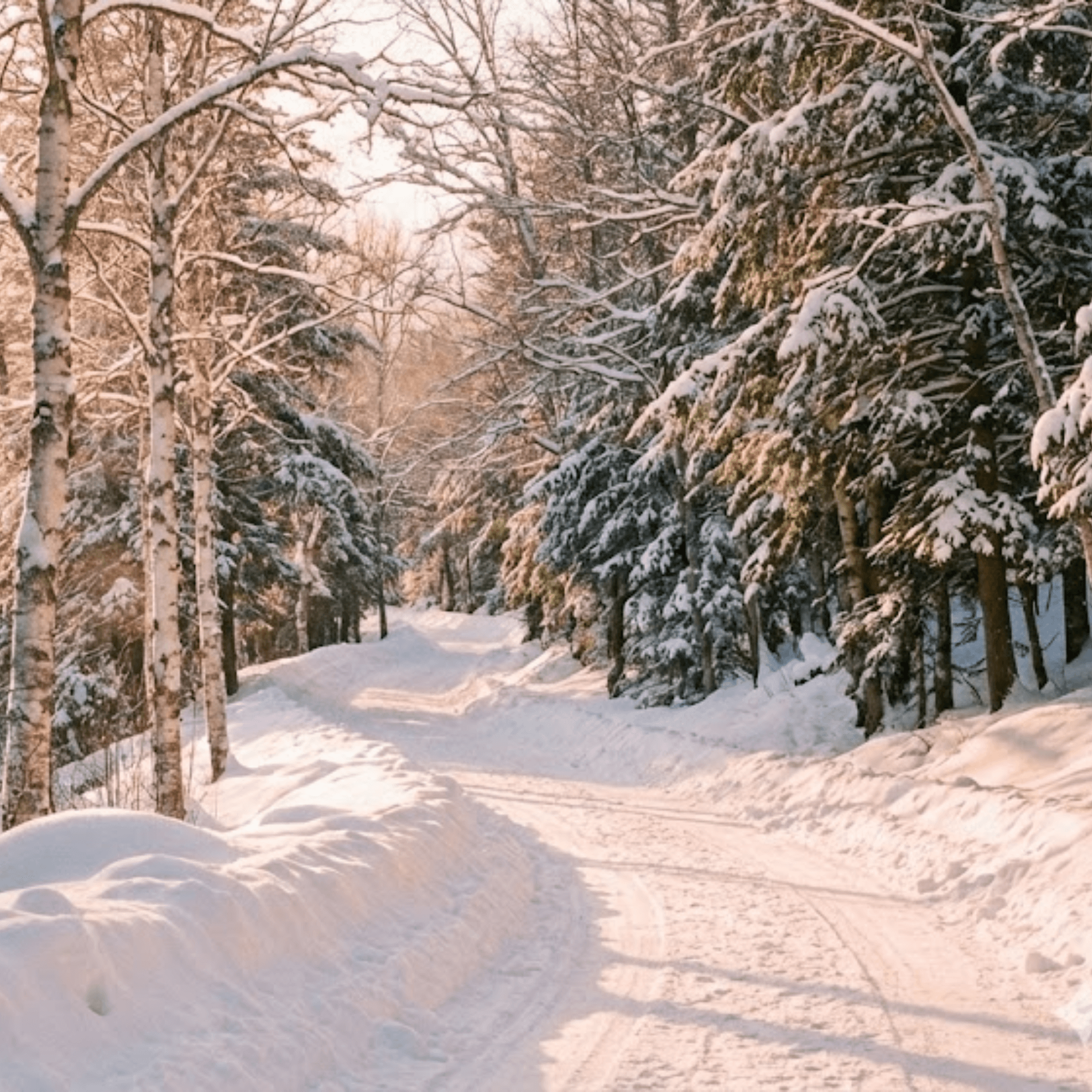 Local Hidden Gems: Off-the-Beaten-Path Winter Adventures in the White ...